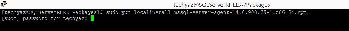How To Install Sql Server Agent On Redhat Linux Server Without Internet