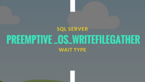 How to Reduce PREEMPTIVE_OS_WRITEFILEGATHER Wait Type in SQL Server?